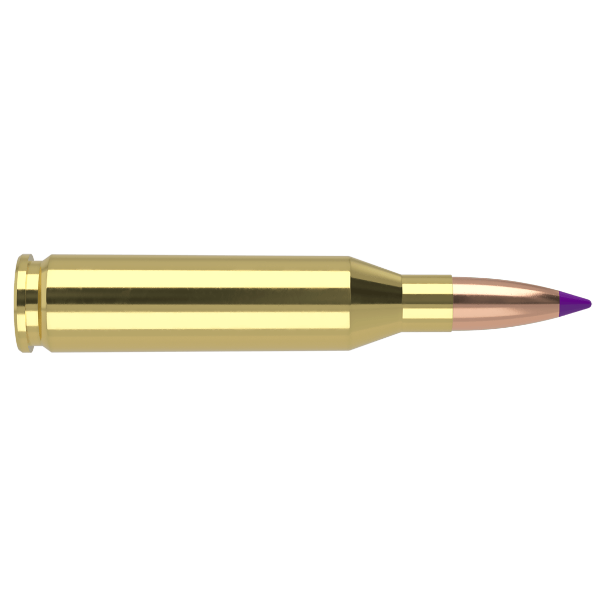 Nosler Ballistic Tip Hunting 243 Winchester 90 Grain Ballistic Tip ...