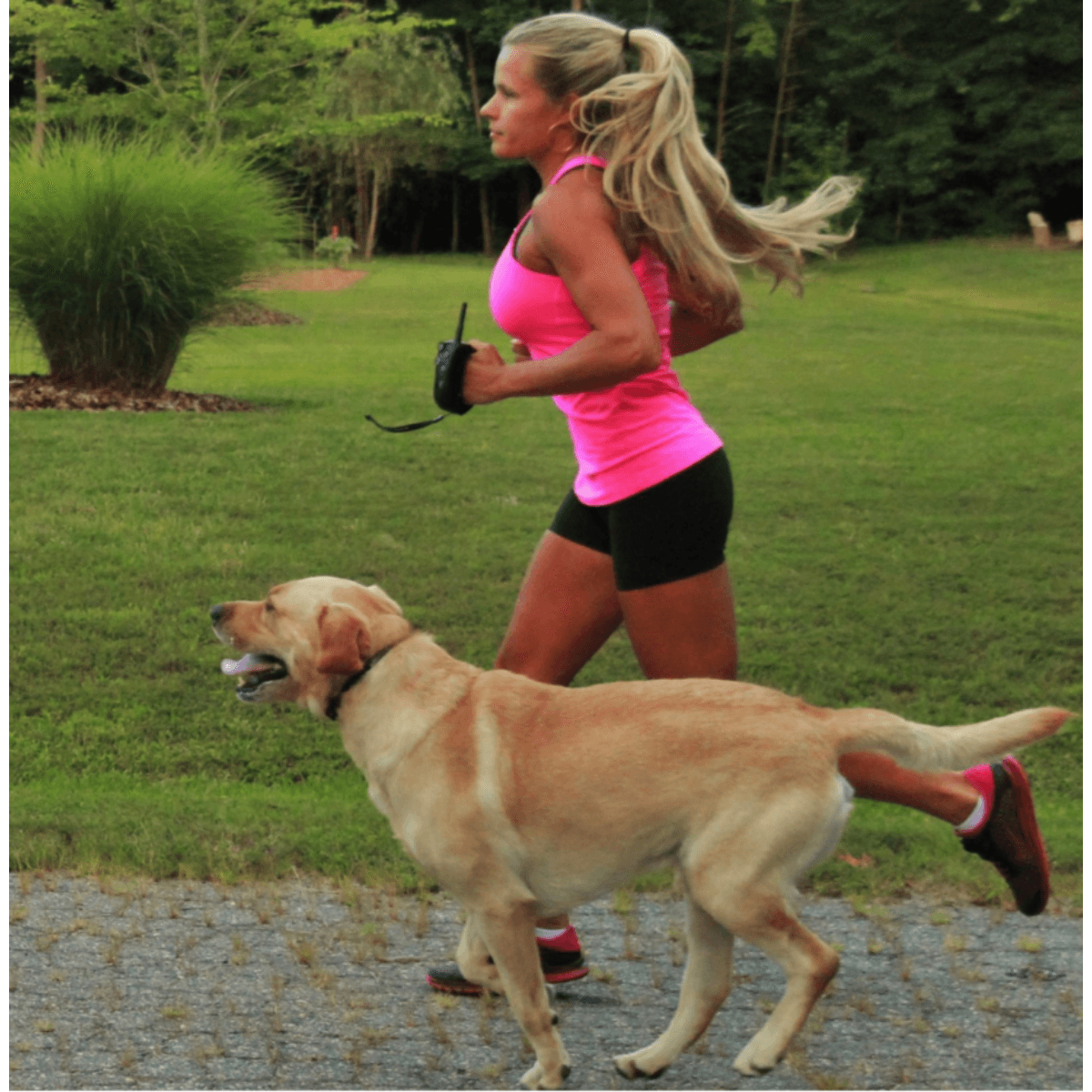 DT Systems DD700 Addon Collar - Als.com