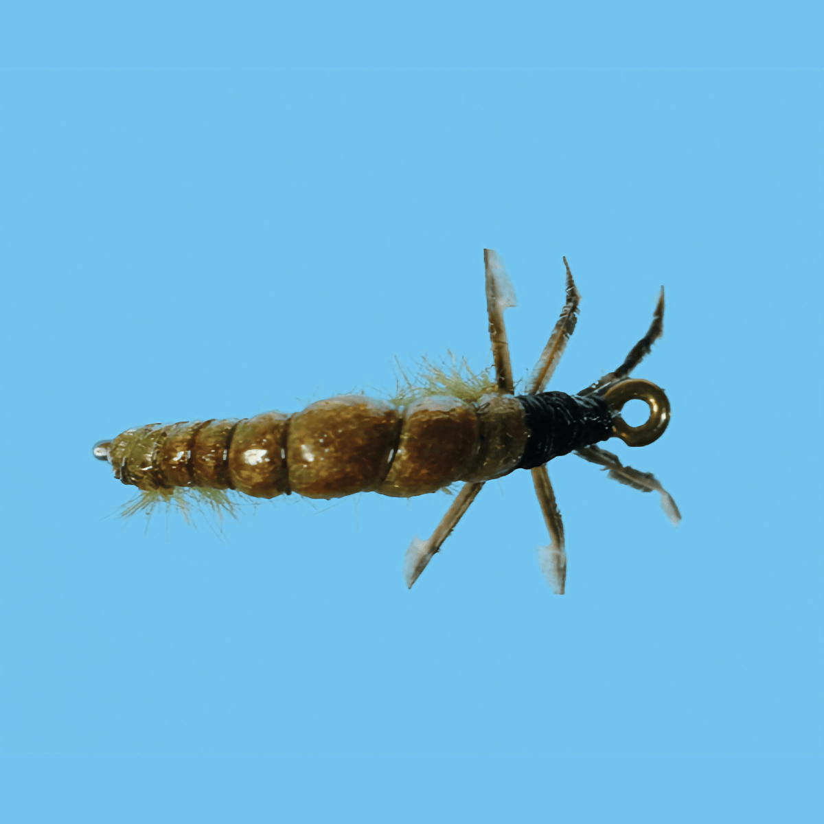 Solitude Caddis Crawling Fly (12 Count) - Bobwards.com