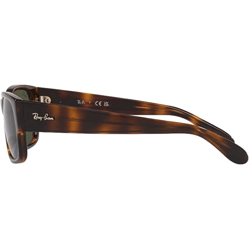 Ray-Ban RB4388 Sunglasses - Als.com