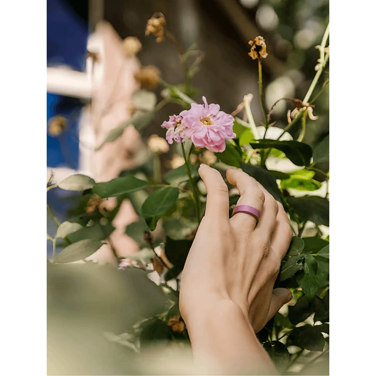 Qalo Pela Modern Ring - Women's - Als.com