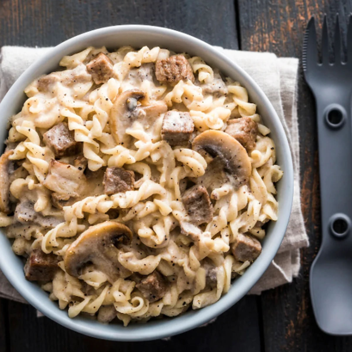 Peak Refuel Beef Stroganoff Freeze Dried Meal - Als.com